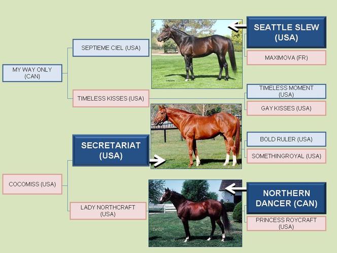 Thoroughbred Bloodlines – How Much Impact Do They Have?
